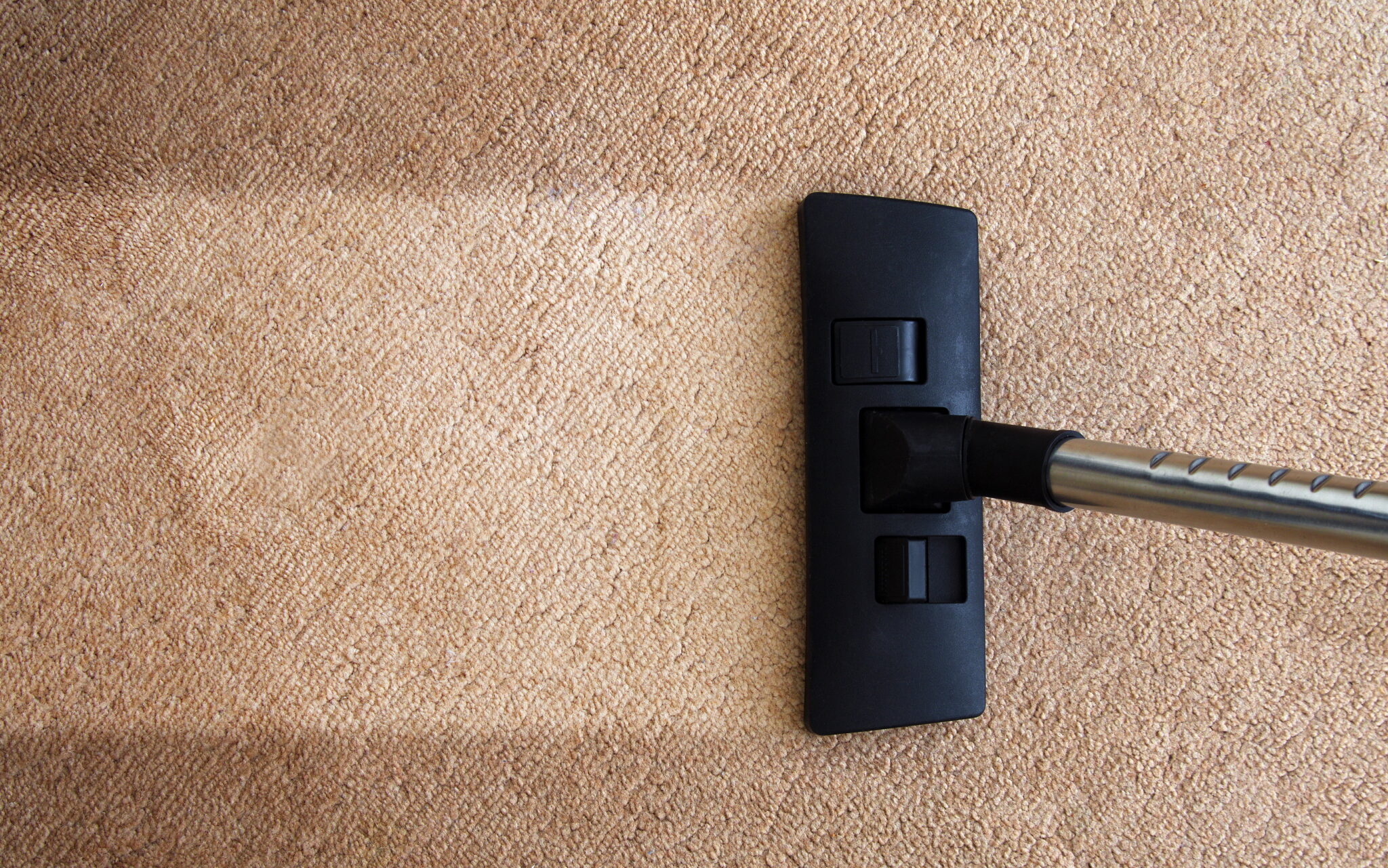 Carpet Cleaning – Green Husky Carpet Cleaning